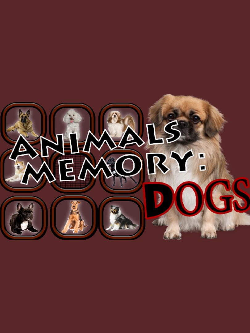 Is Animals Memory: Dogs Down Right Now? - Gamebezz
